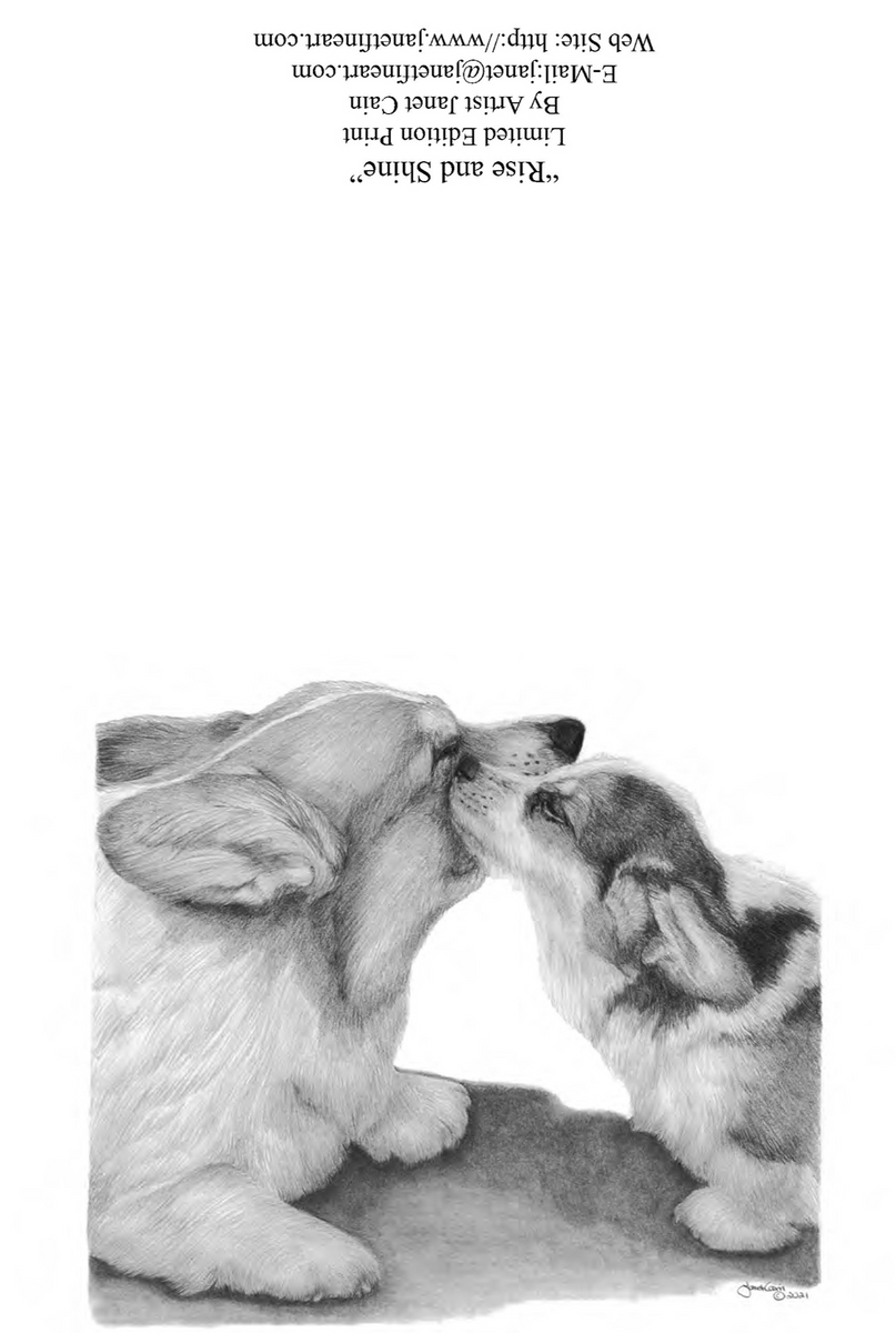 "Miniature Prints" & "Note Cards" in Support of Golden Gate Pembroke W ...